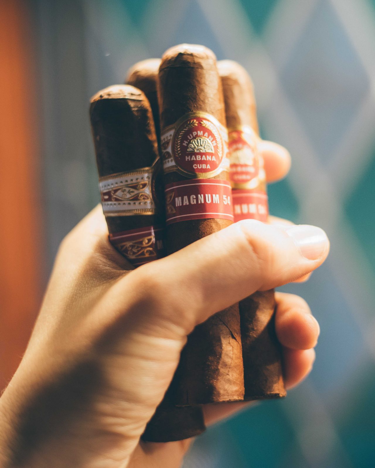 Cigar Specialist | Una comunidad para los amantes del conocimiento ...